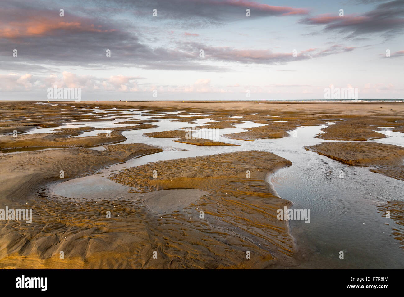 Puddle water in desert hi-res stock photography and images - Alamy