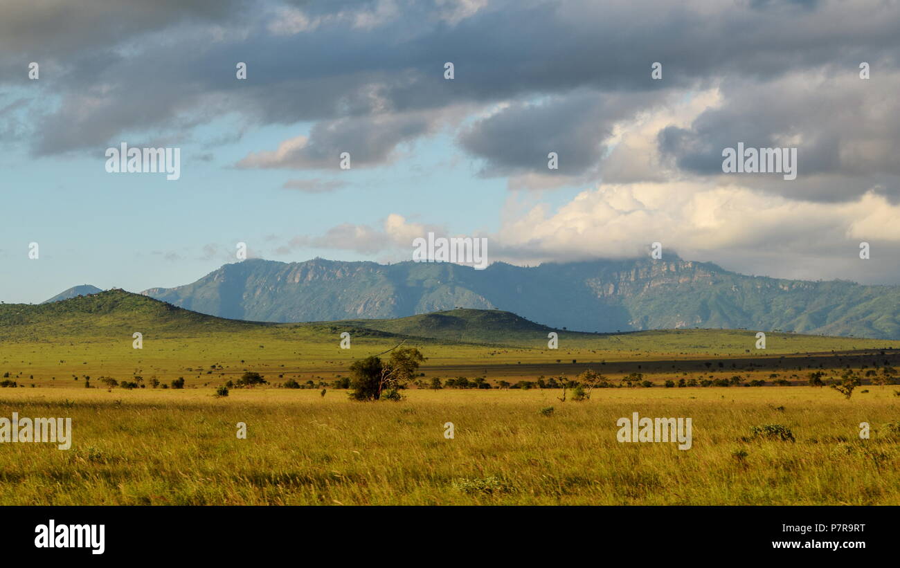 Savannah grassland Landscape at Taita Hills Wildlife, Voi, kenya Stock ...