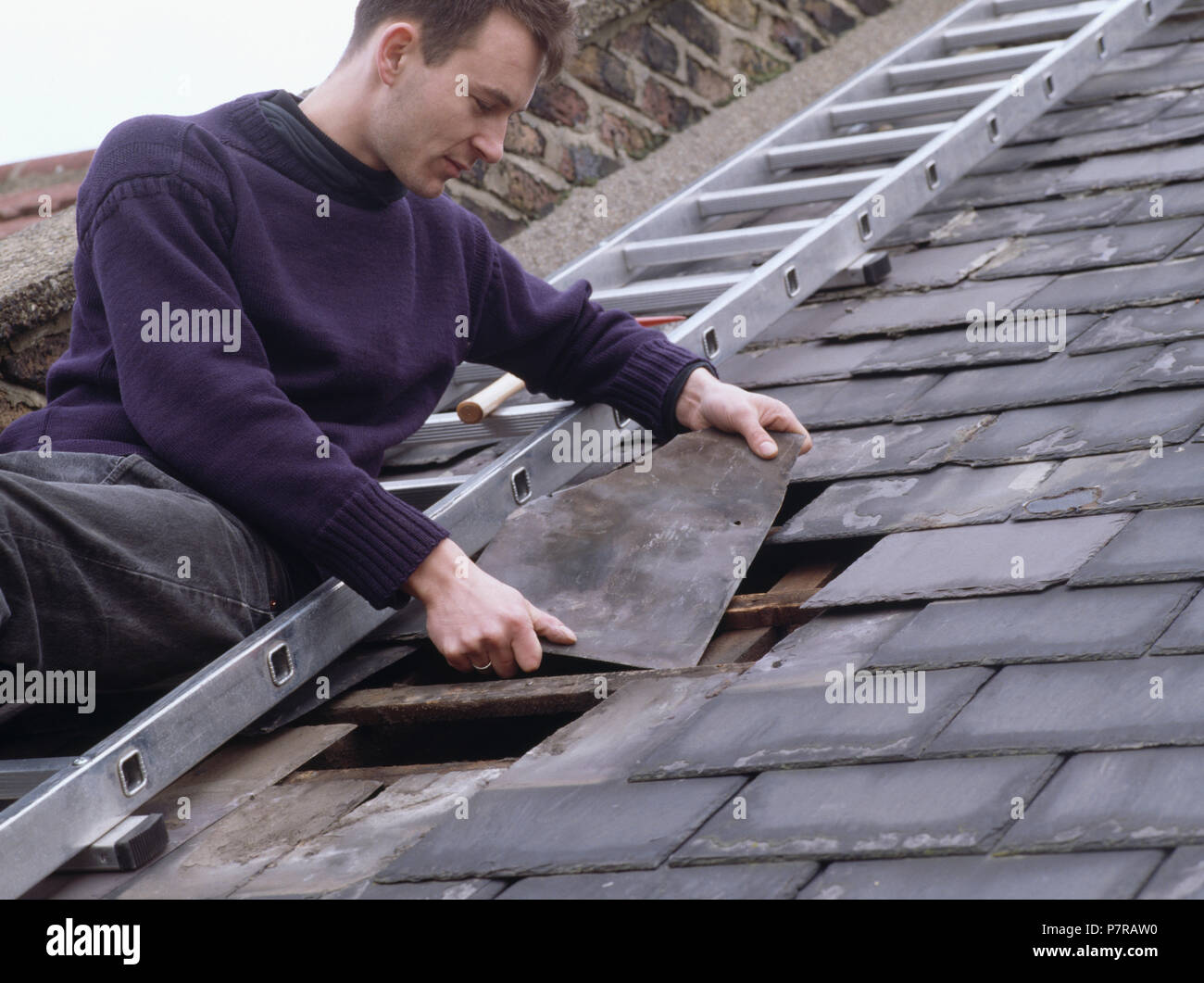 Man on ladder replacing roof slate FOR EDITORIAL USE ONLY Stock Photo ...