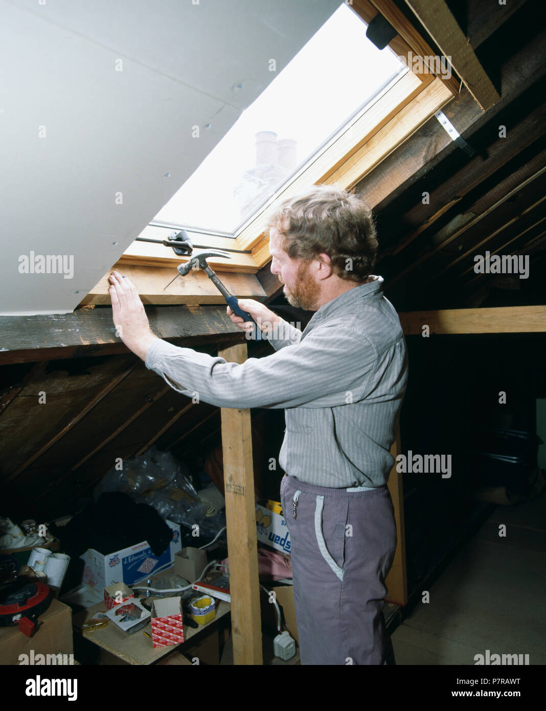 Man fitting Velux window in attic ceiling FOR EDITORIAL USE ONLY Stock ...