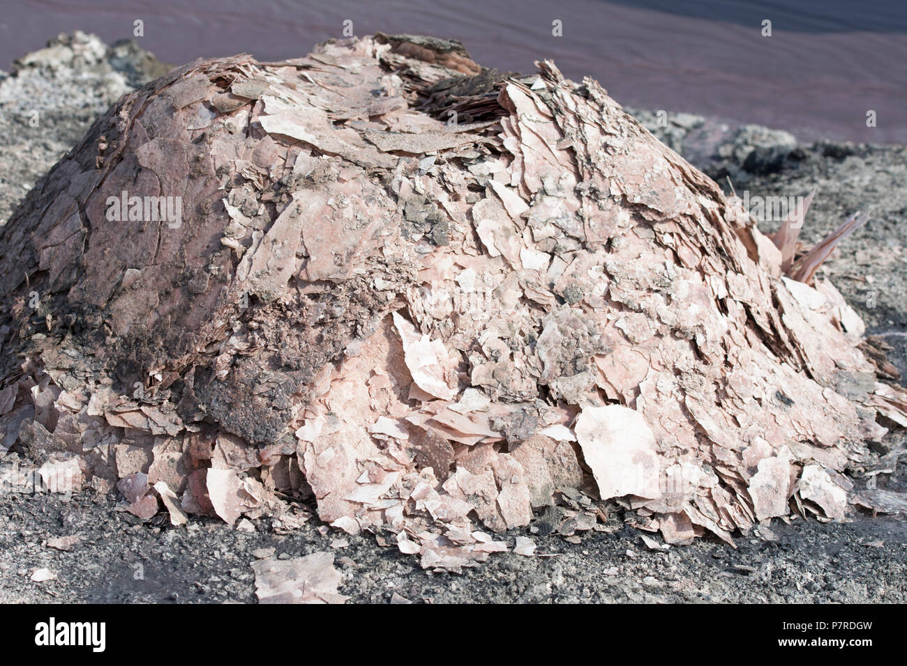 Salt Pans, Piles of Mined Salt from Salt Pans in a Crater Lake at Queen ...