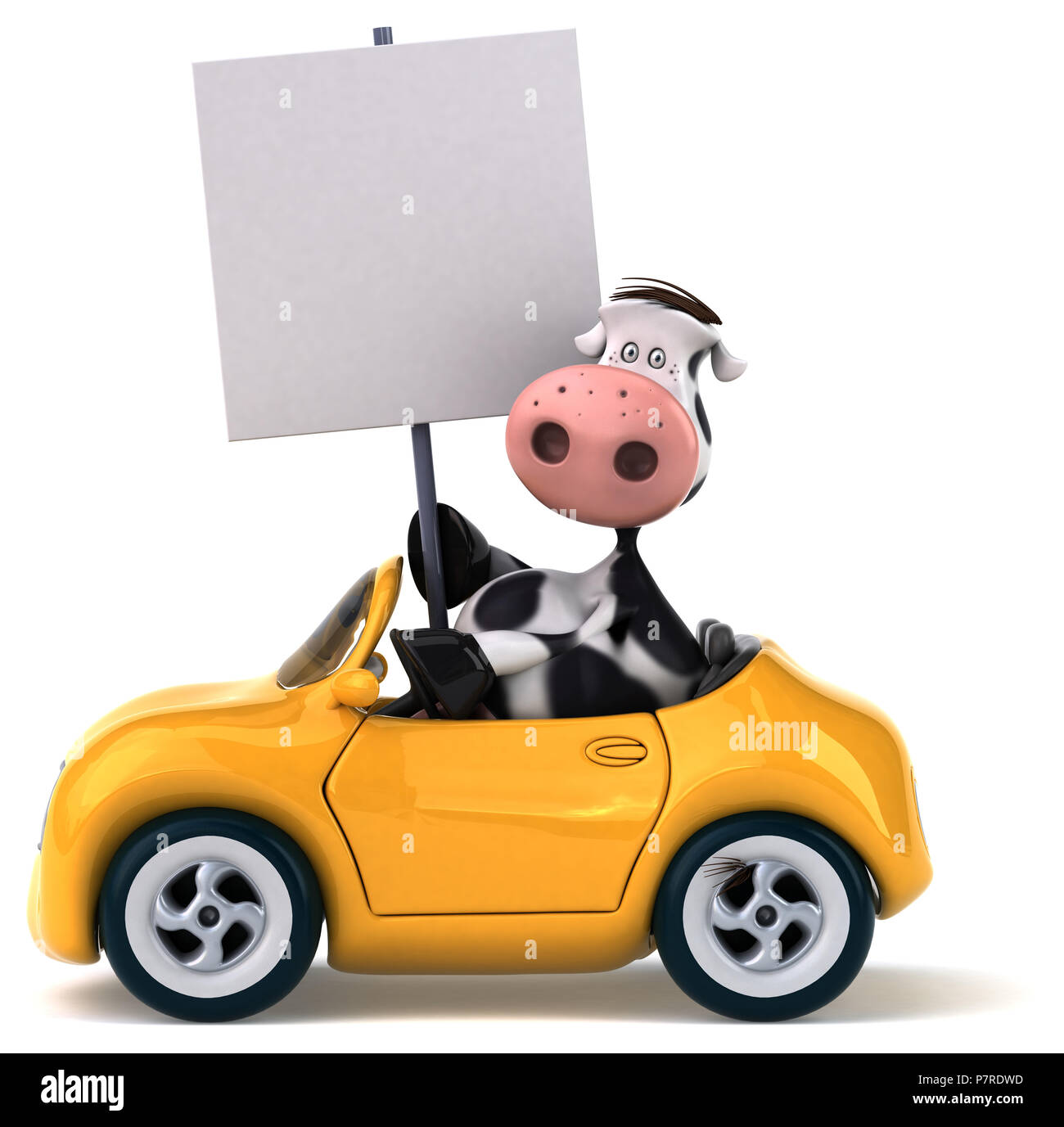 Cow driving car Cut Out Stock Images & Pictures - Alamy