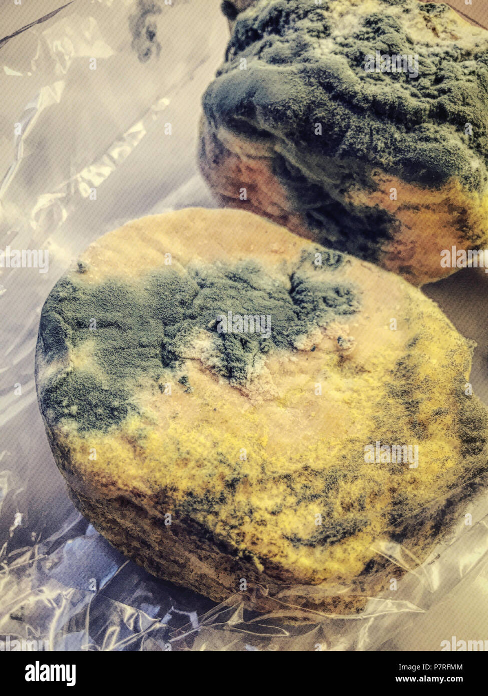 Mould on food Stock Photo - Alamy
