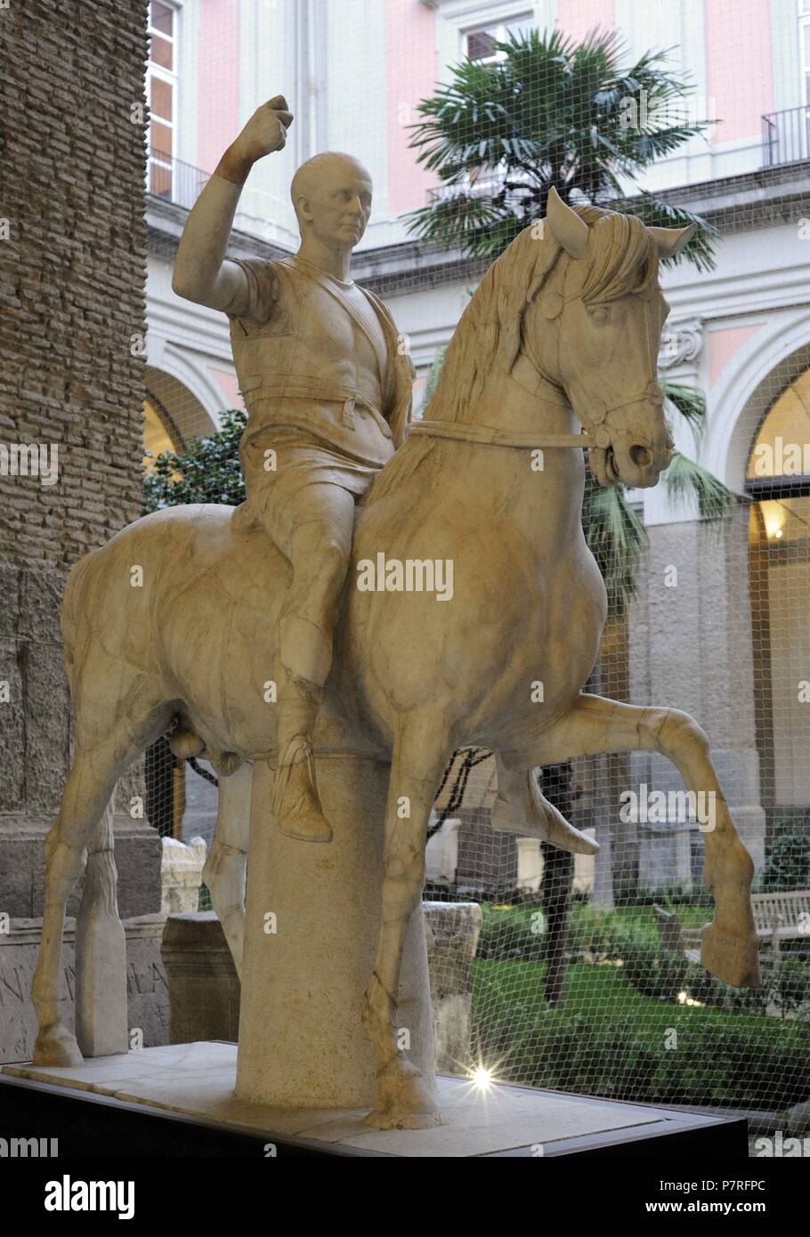 Nonius horse hi-res stock photography and images - Alamy