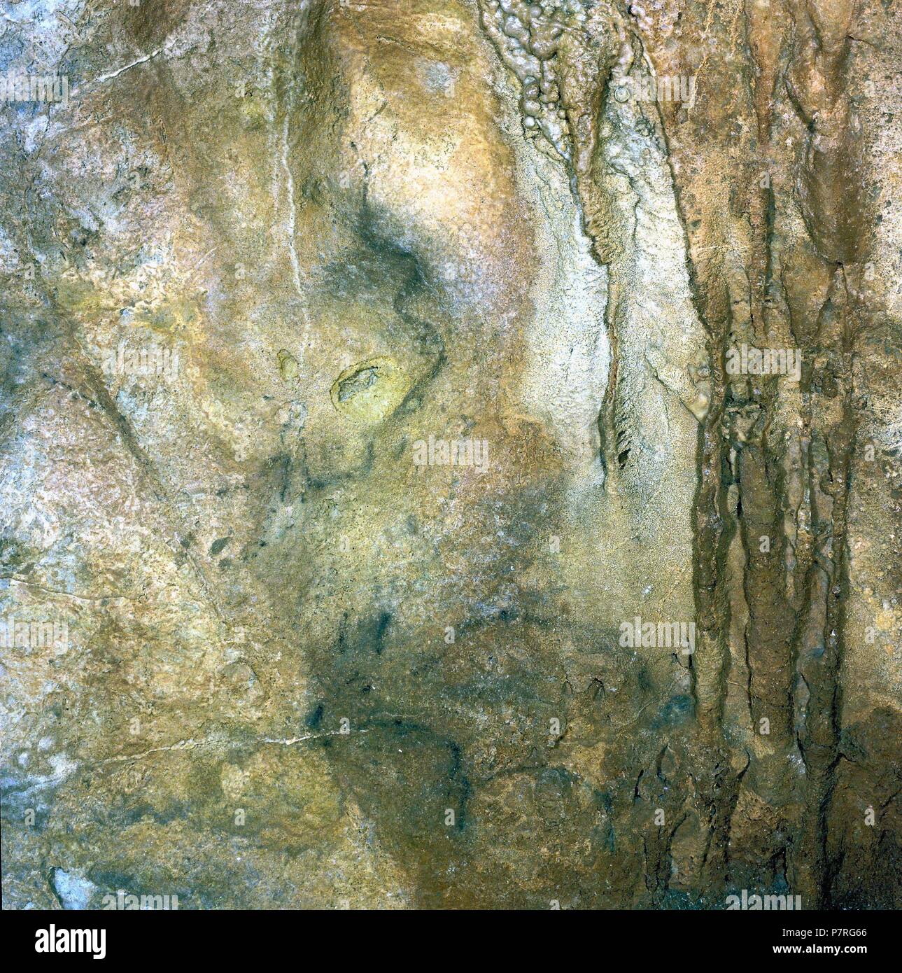 Prehistoric goats hi-res stock photography and images - Alamy