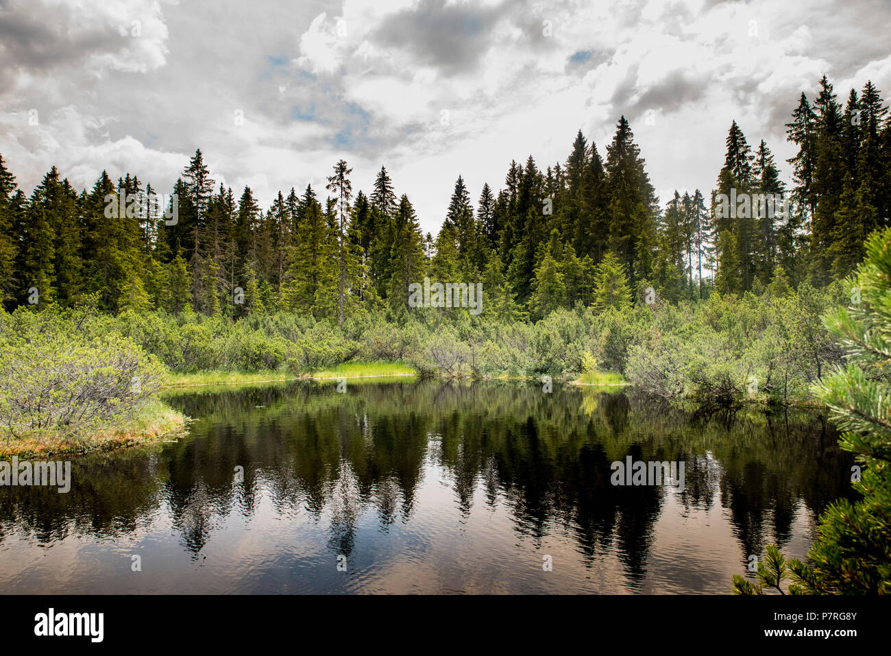 Witk hi-res stock photography and images - Alamy