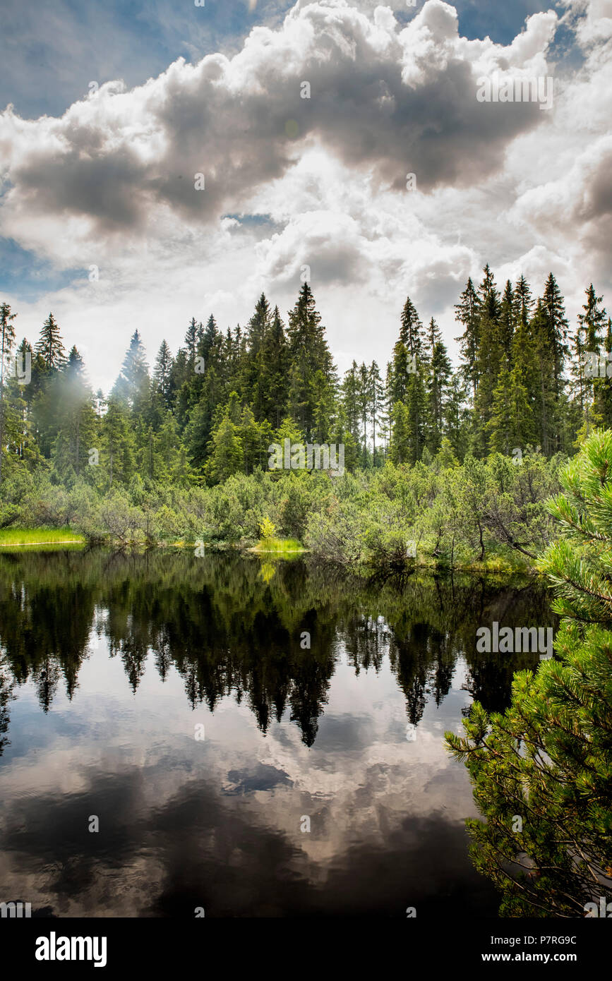 Witk hi-res stock photography and images - Alamy