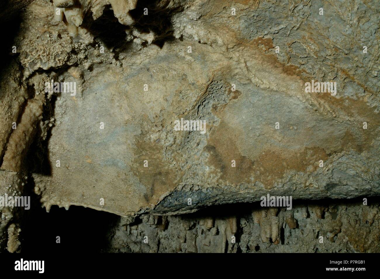 CAVE OF SANTIMAMIÑE. PAINTINGS SET OF ANIMALS CONTOURED IN BLACK ...