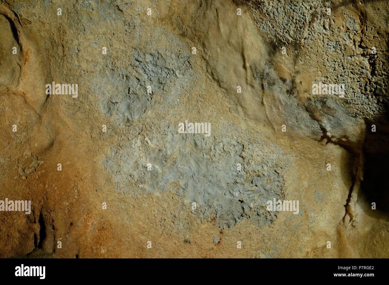 CAVE OF SANTIMAMIÑE. PAINTINGS. SET OF ANIMALS CONTOURED IN BLACK ...