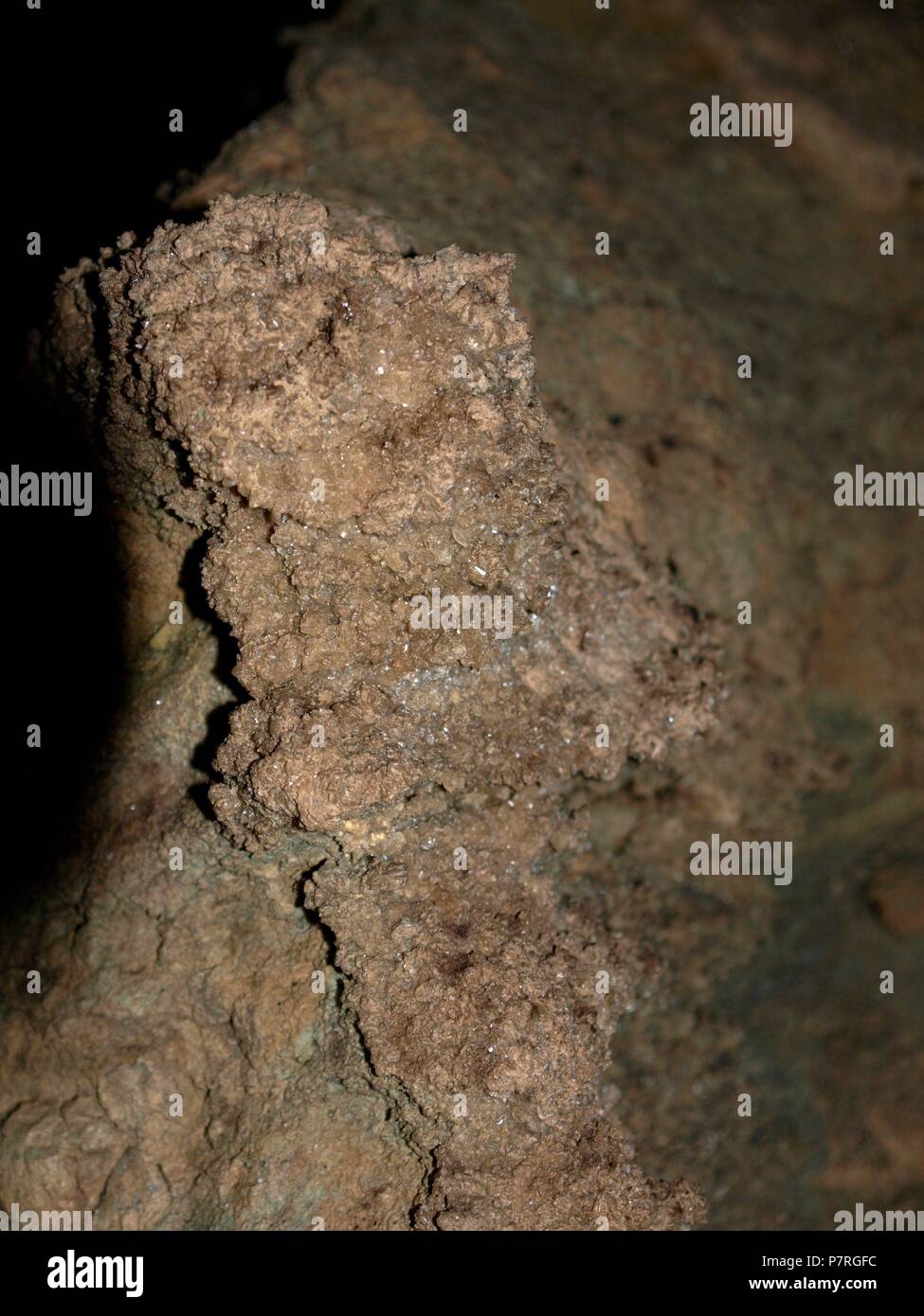 CUEVA DE PEDRO FERNANDEZ: DETALLE DE LA ROCA ESTREMERA, COMUNIDAD DE ...