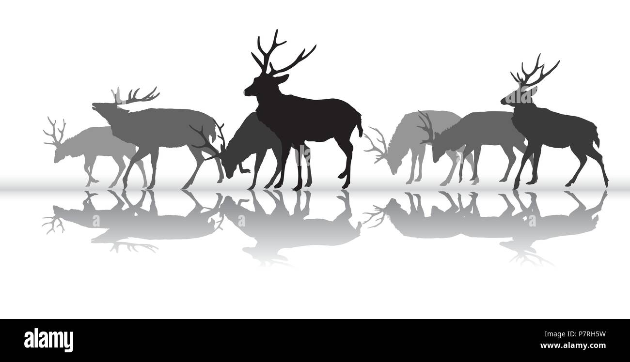 Group of black and grey isolated silhouettes of walking male deers (red ...