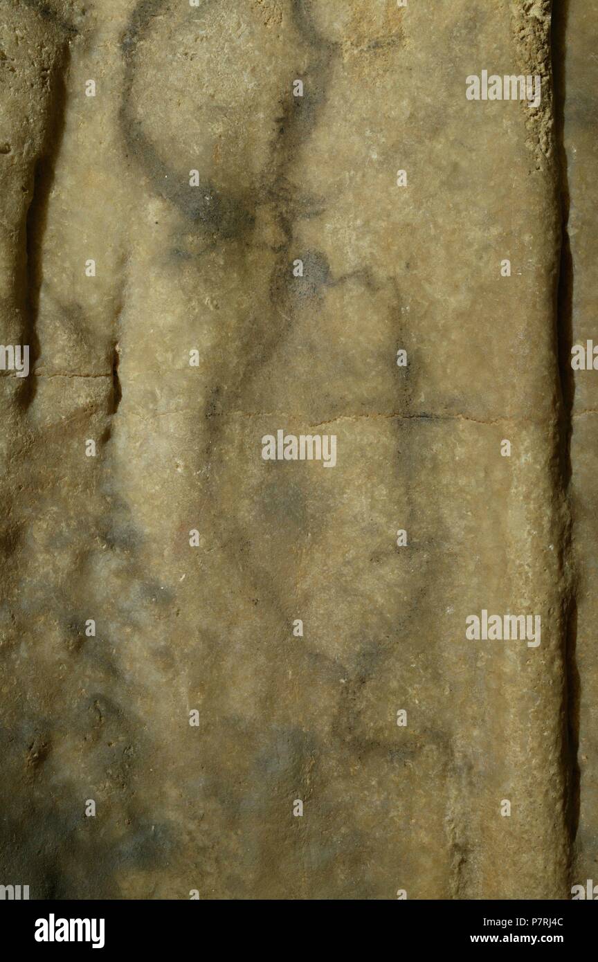 CAVE OF SANTIMAMIÑE. PAINTINGS. SET OF ANIMALS CONTOURED IN BLACK ...