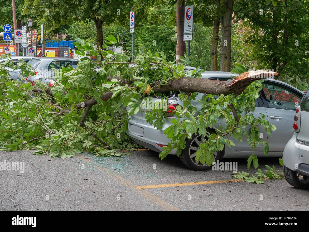 car ruined by the fall of a tree branch Stock Photo - Alamy