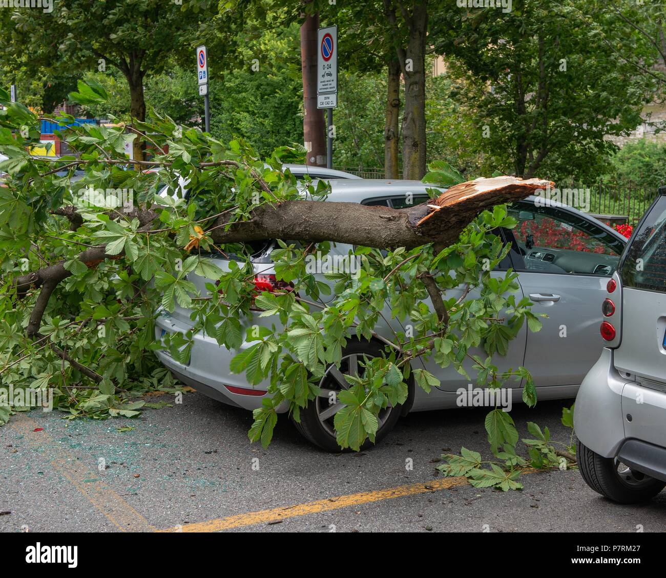 Car crash tree hi-res stock photography and images - Alamy
