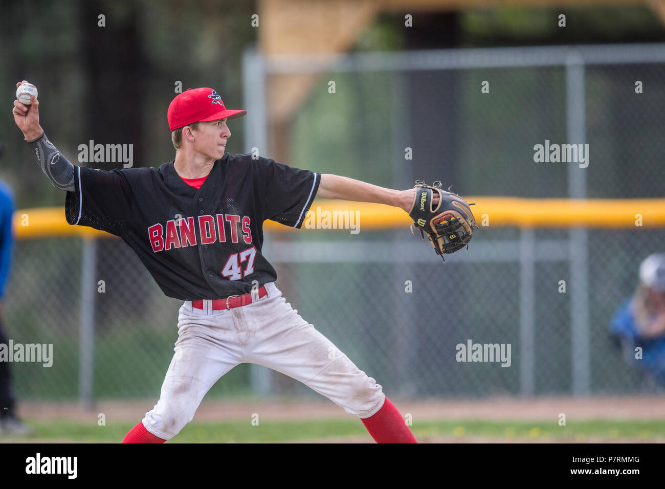 Full baseball stadium hi-res stock photography and images - Alamy