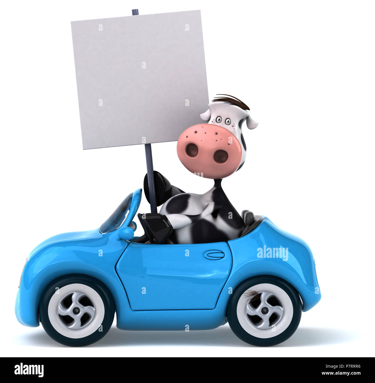 Cow driving car Cut Out Stock Images & Pictures - Alamy