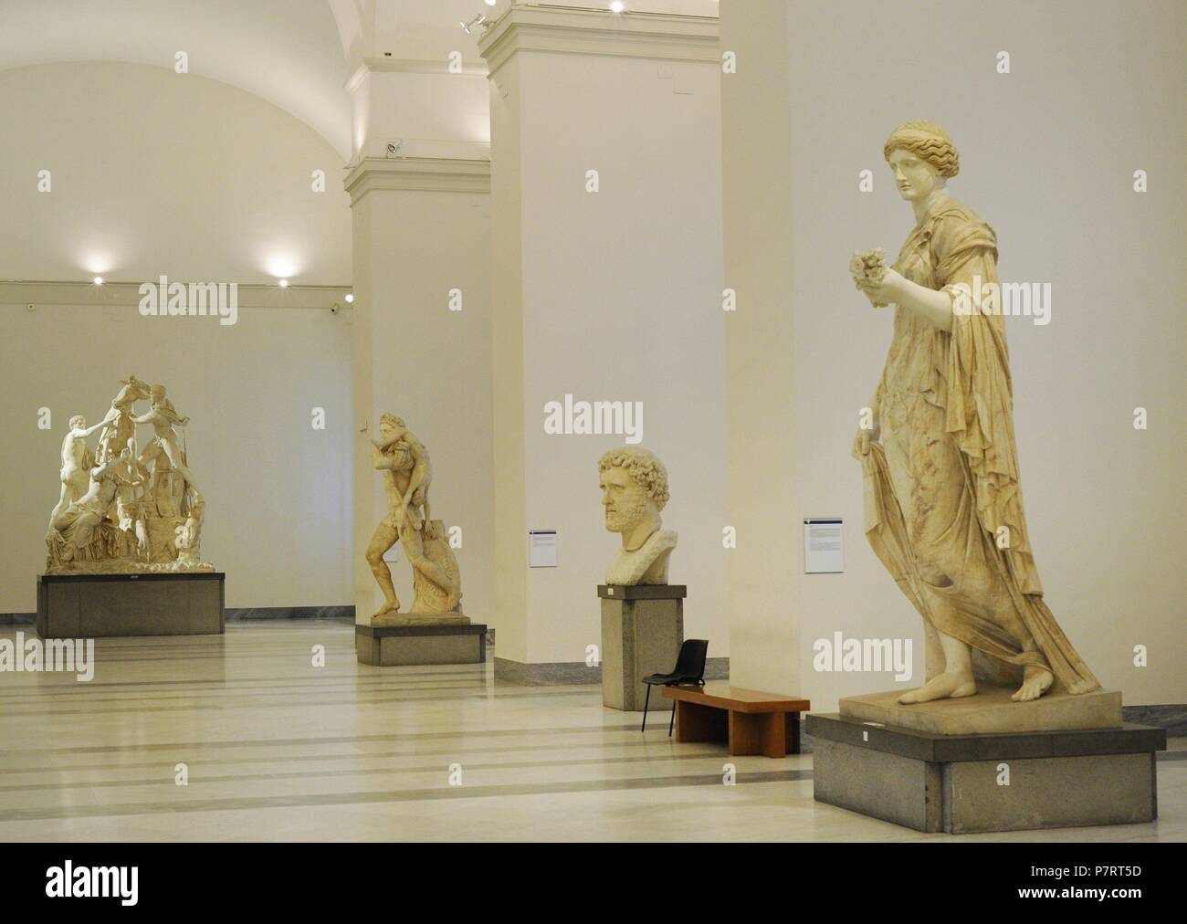 Farnese collection. National Archaeological Museum, Naples. Italy Stock ...