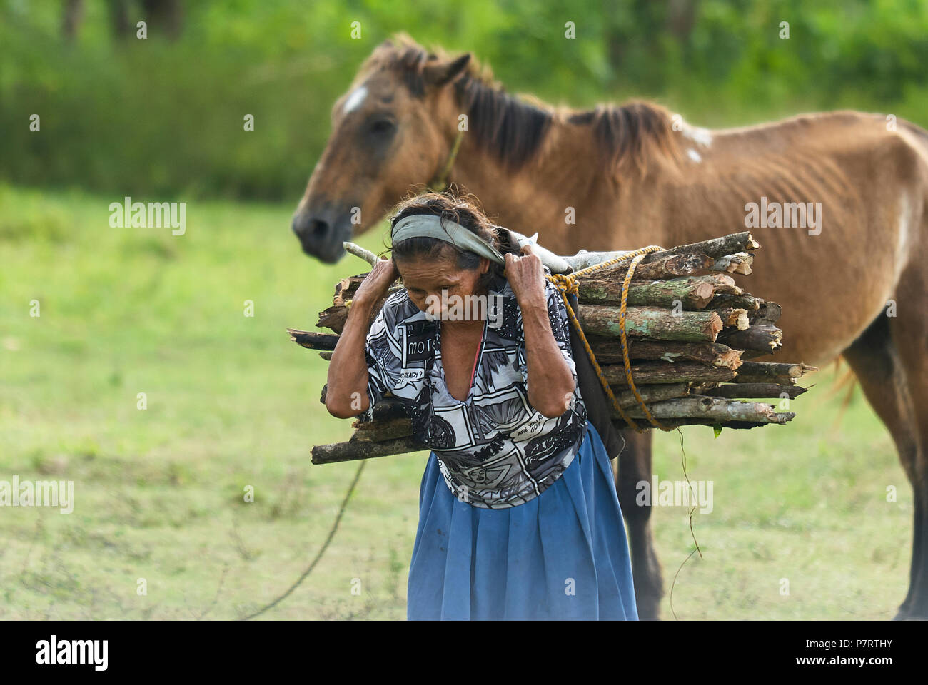 Old woman carrying wood hi-res stock photography and images - Alamy