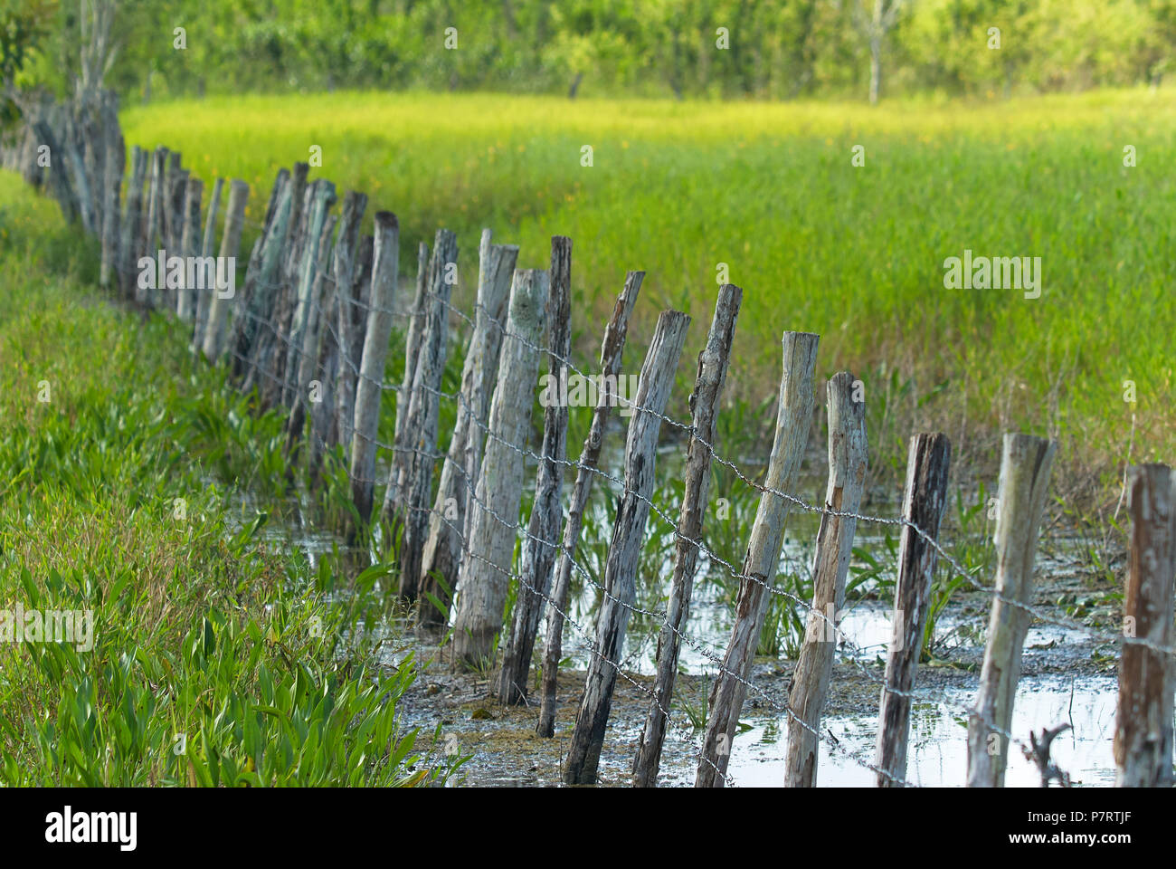 Fence made of wood sticks and barbed wire to mark terrain limits and ...