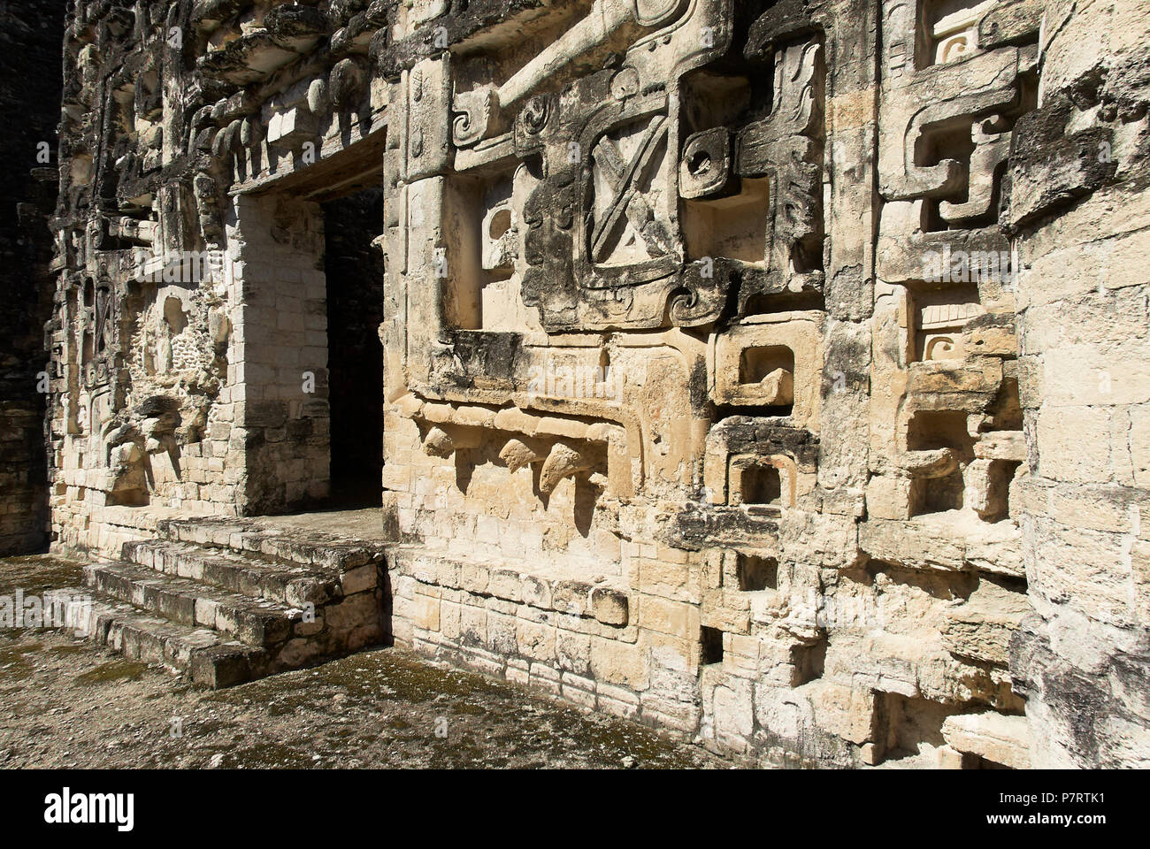 Mayan ruins in Calakmul Biosphere Reserve, Yucatan peninsula, Campeche ...