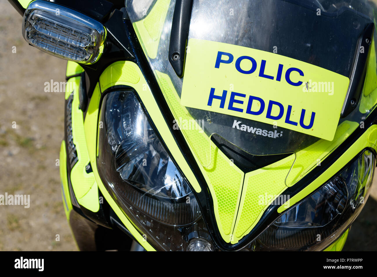 Llangynidr, Brecon, Wales, UK, July 07, 2018: Close up Welsh Gwent ...