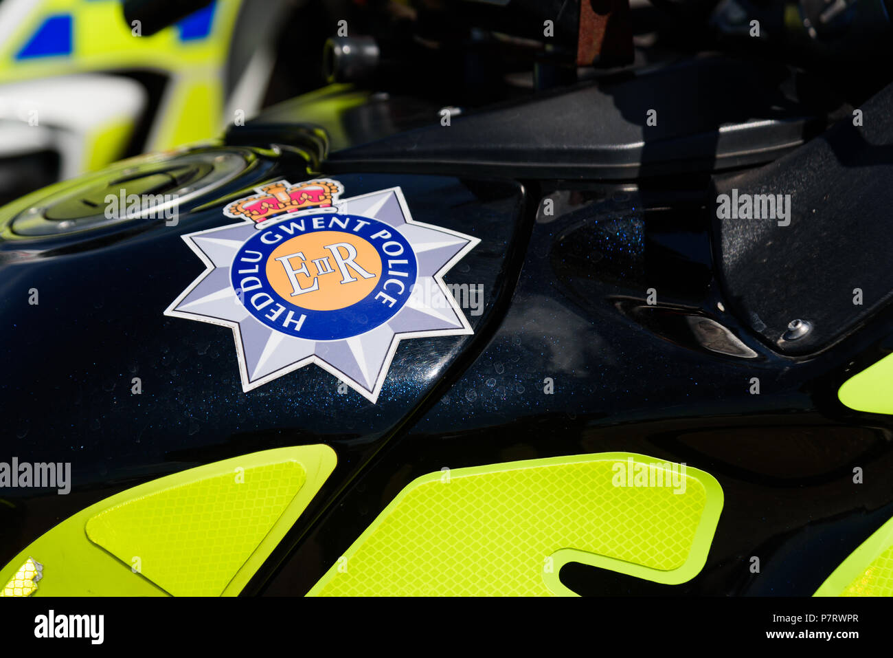 Llangynidr, Brecon, Wales, UK, July 07, 2018: Close up Welsh Gwent ...