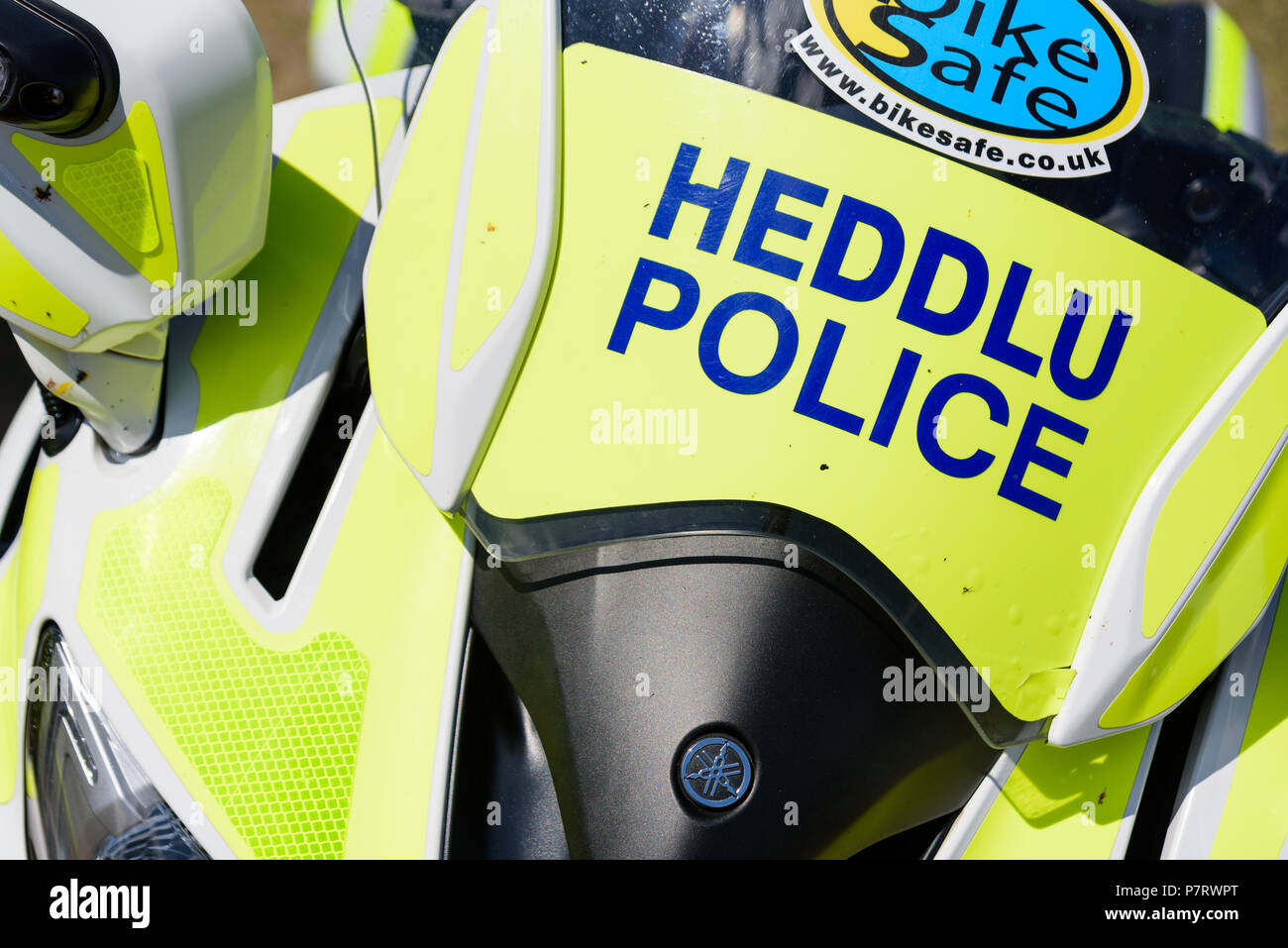 Llangynidr, Brecon, Wales, UK, July 07, 2018: Close up Welsh Gwent ...