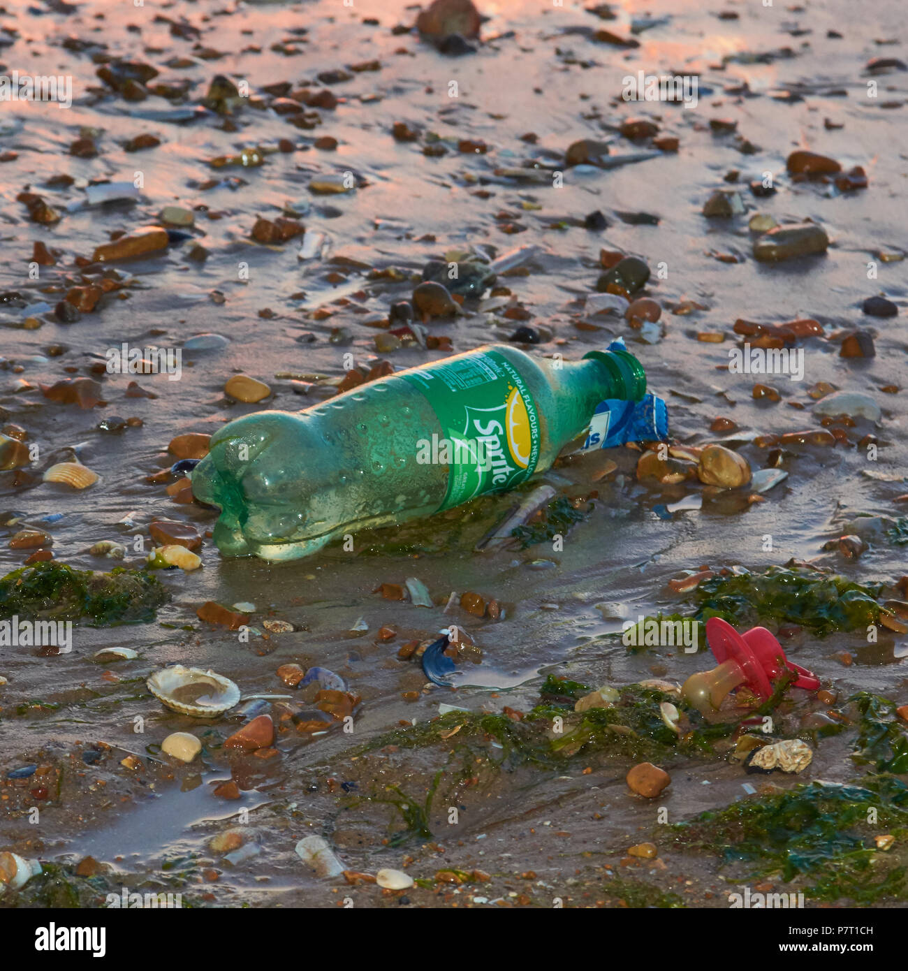 Plastic Pollution on English Beaches Stock Photo - Alamy