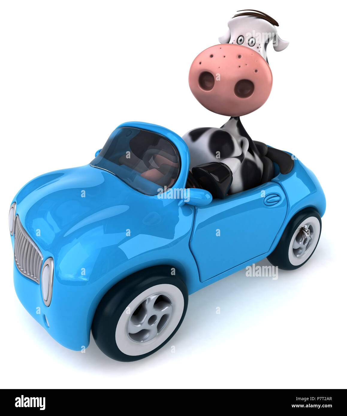 Cow driving car Cut Out Stock Images & Pictures - Alamy