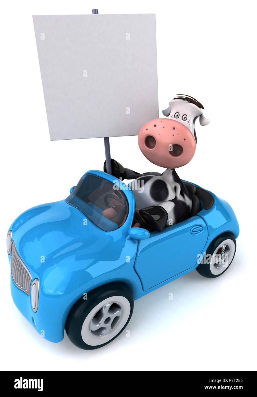 Cow driving car Cut Out Stock Images & Pictures - Alamy
