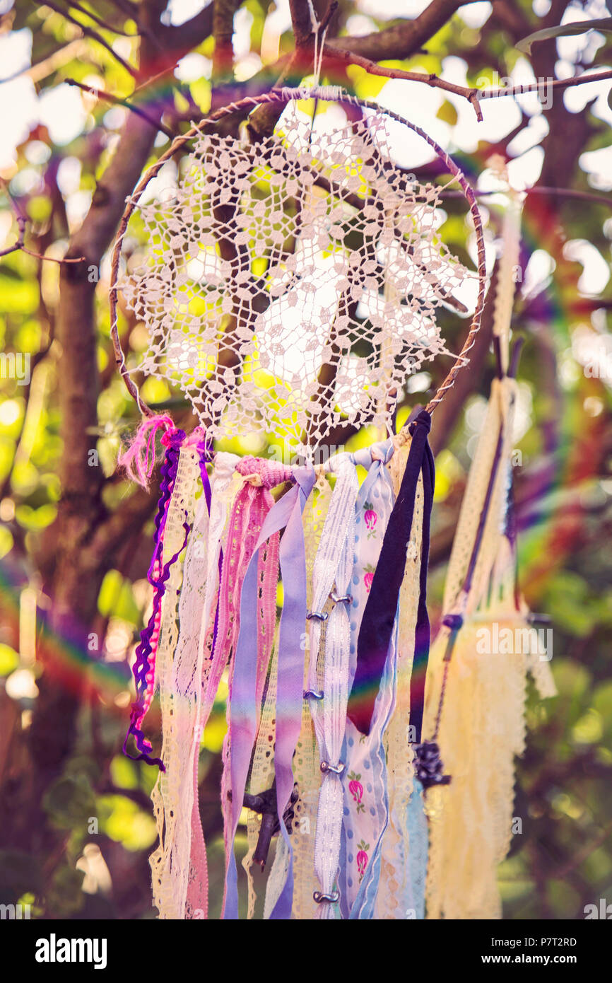 Dream catchers hanging on tree bush Stock Photo - Alamy