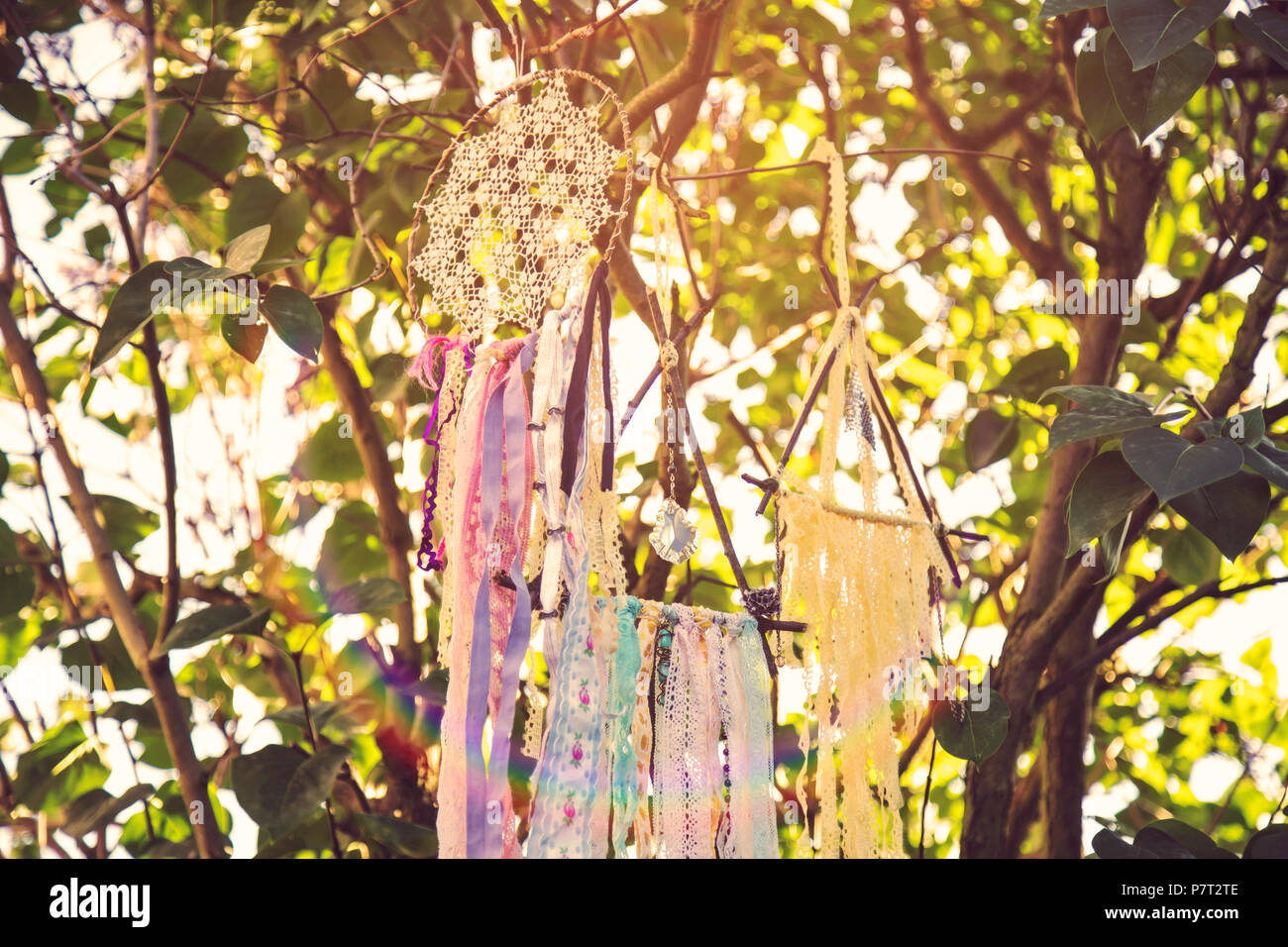 Summer bish hi-res stock photography and images - Alamy