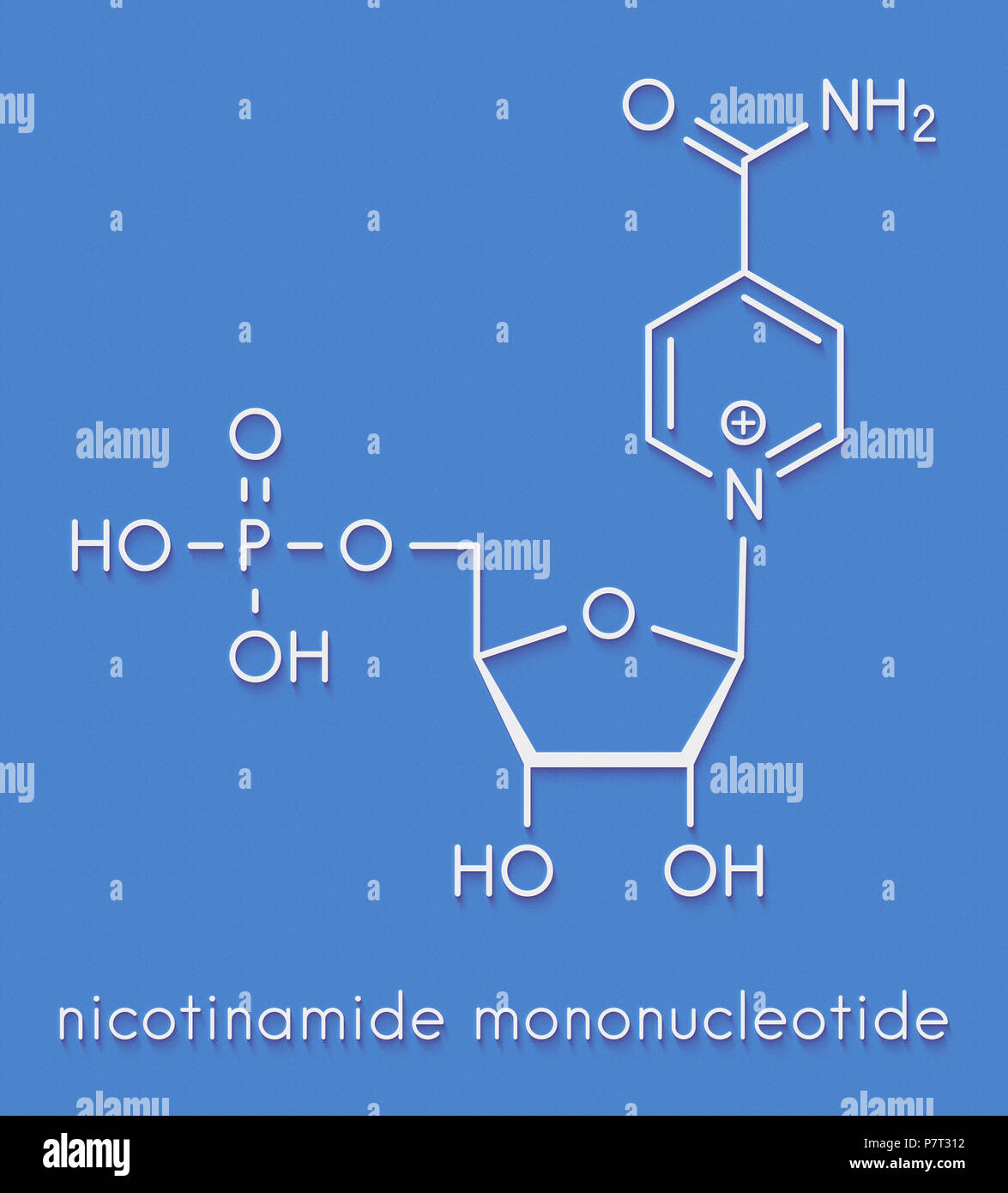 Nicotinamide mononucleotide molecule. Precursor of NAD+. Skeletal ...