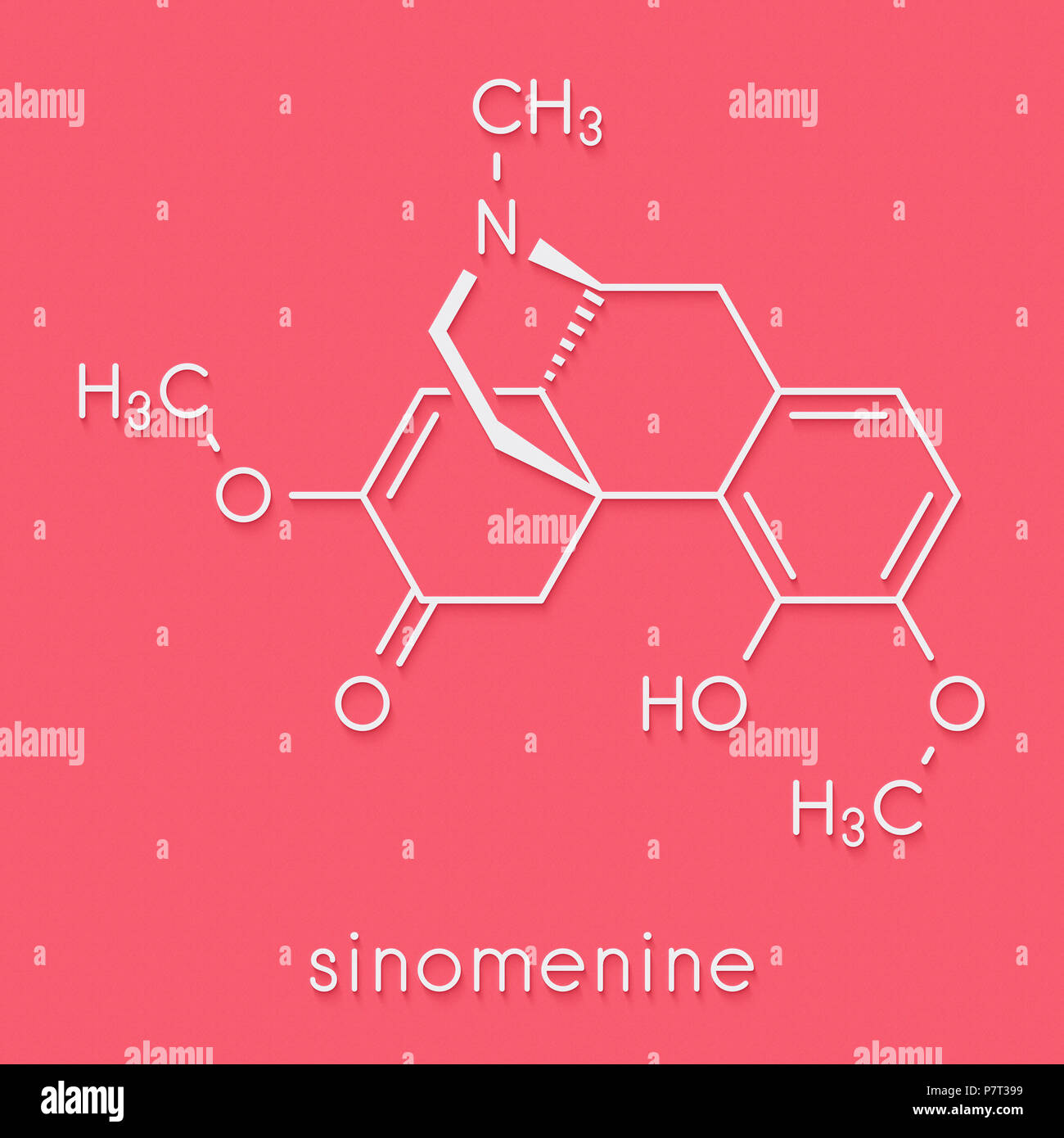 Sinomenine herbal alkaloid molecule. Isolated from Sinomenium acutum ...