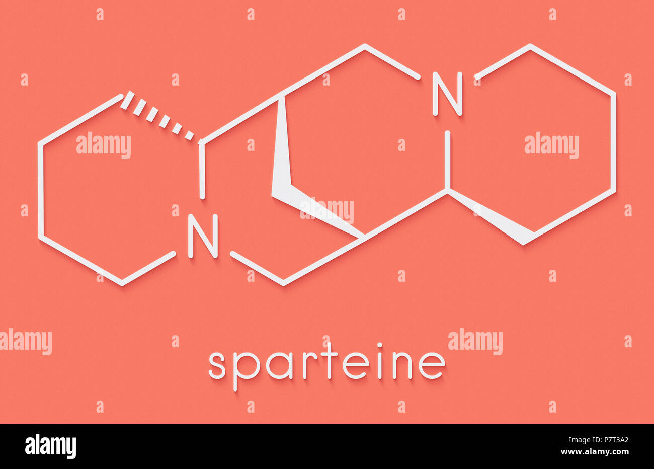 Sparteine scotch broom alkaloid molecule. Skeletal formula Stock Photo ...