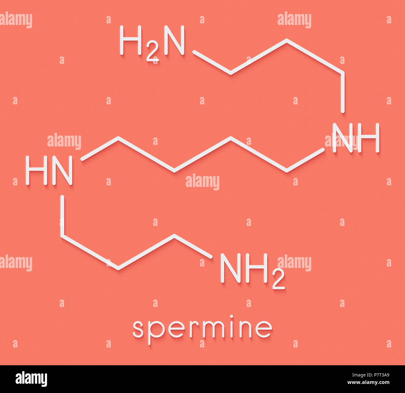 Spermine molecule. Skeletal formula Stock Photo - Alamy