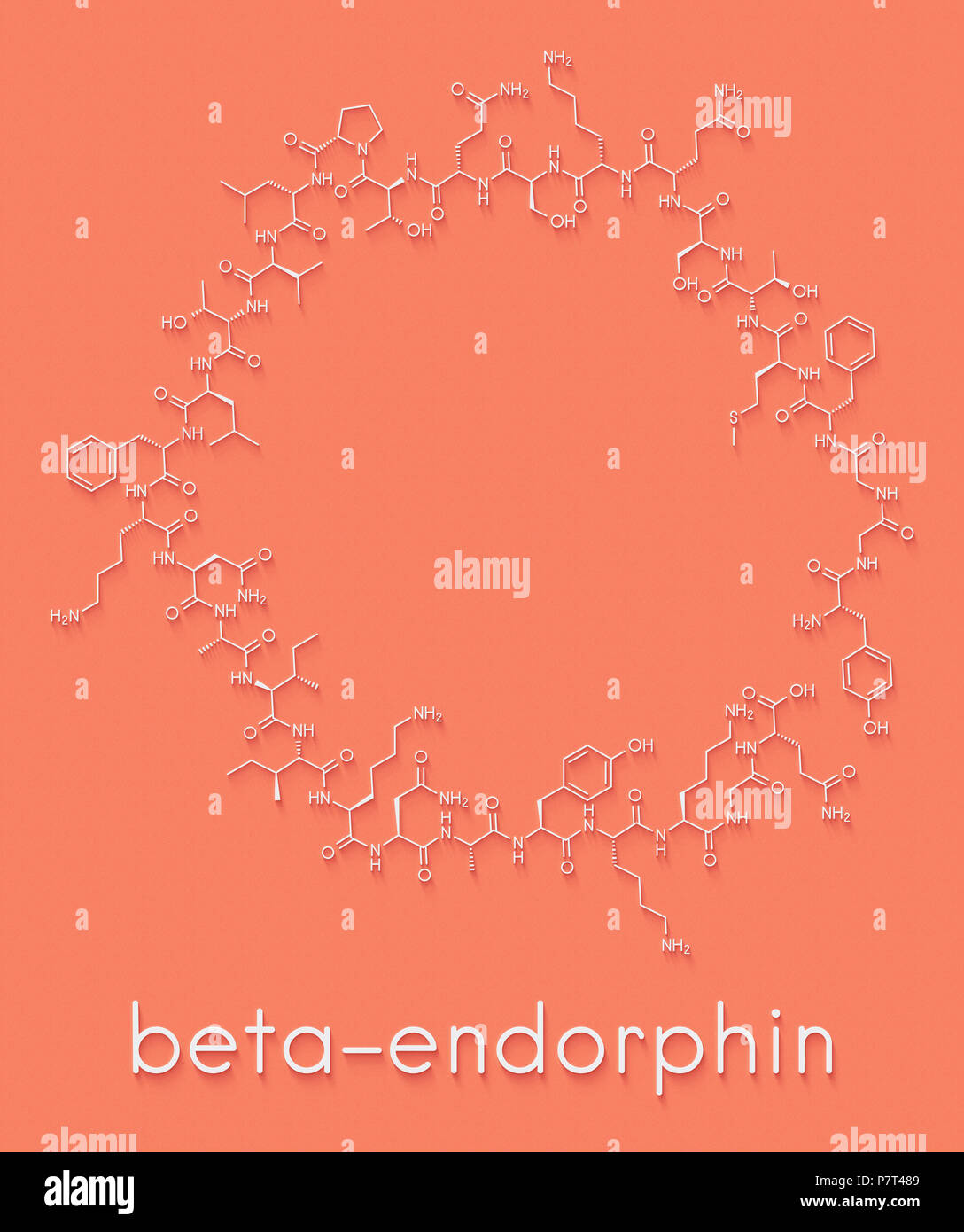 Beta-endorphin endogenous opioid peptide molecule. Skeletal formula ...