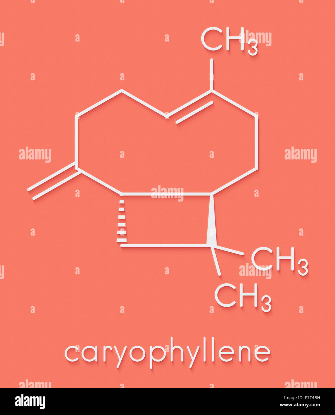 Caryophyllene molecule. Constituent of multiple herbal essential oils ...
