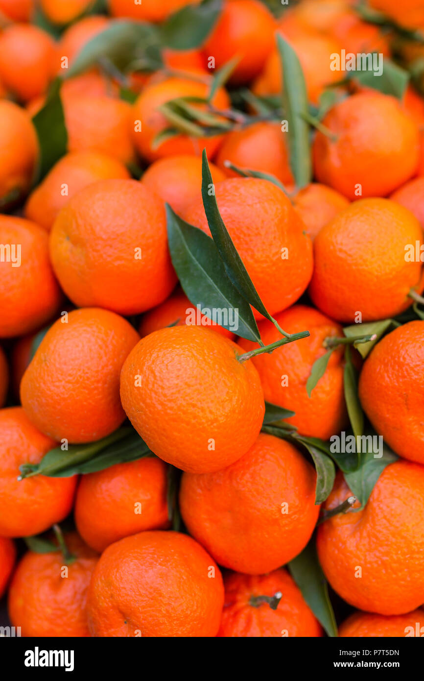 Fresh mandarin oranges with green leaves on a fruit market stall Stock ...