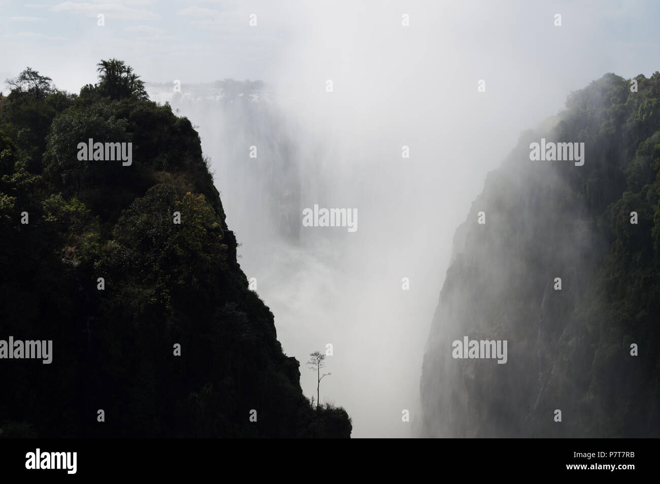 Victoria Falls with Lonely Tree Seen from Victoria Falls Bridge Stock ...