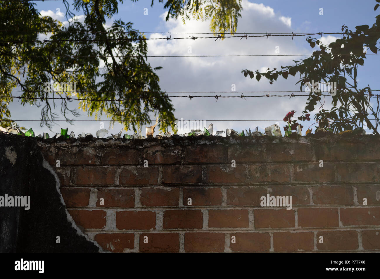 Glass Shards on a Wall and Barbwire, Lusaka, Zambia Stock Photo - Alamy