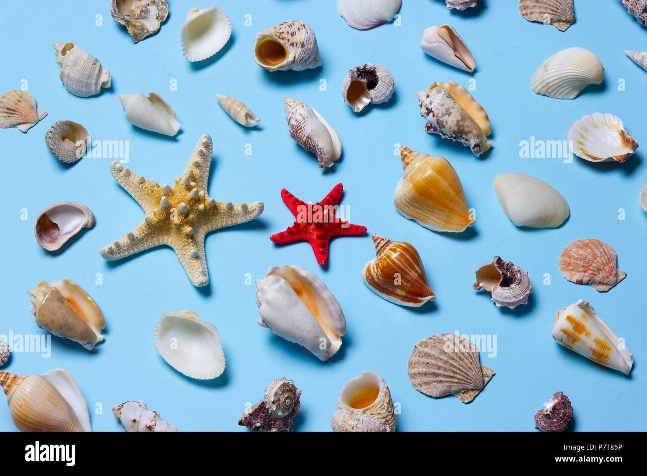 Shot light hi-res stock photography and images - Alamy