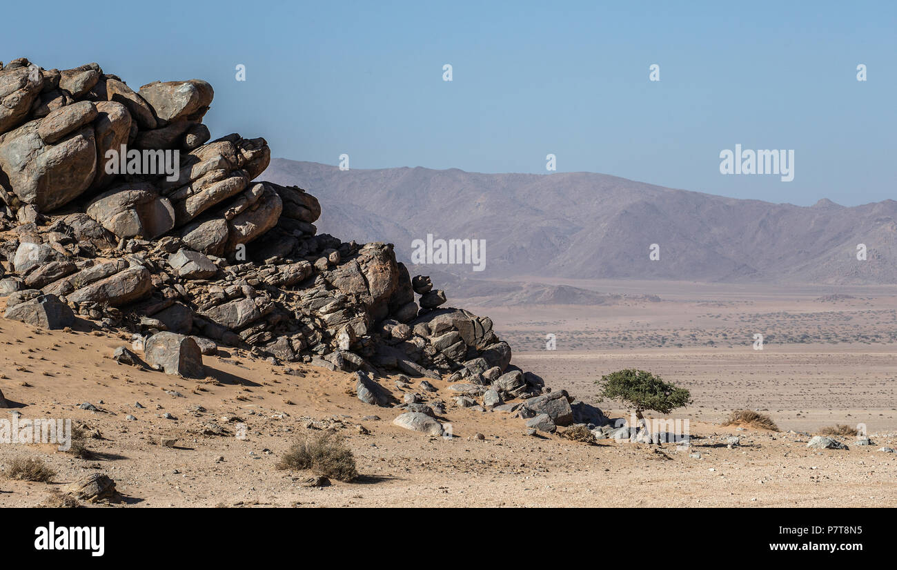 Rocky outcrop and small tree clinging to life in the dry Sperrgebiet ...
