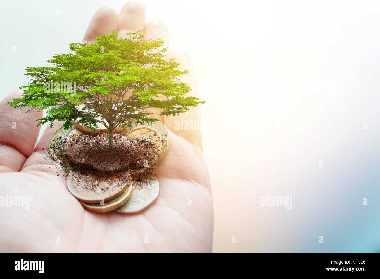 Pay money donation for green eco saving environment and earth ecology ...