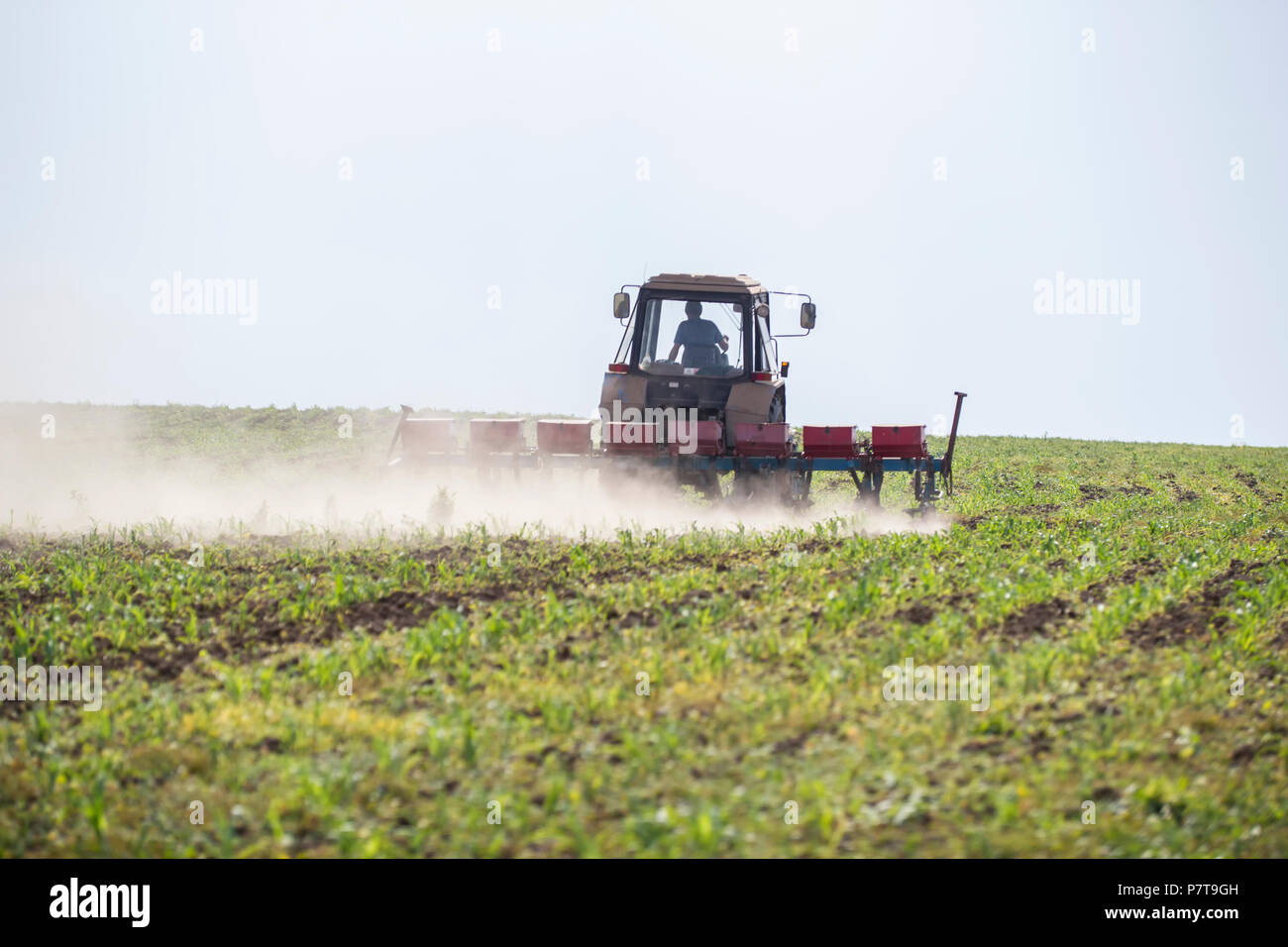 Soil transfer hi-res stock photography and images - Alamy