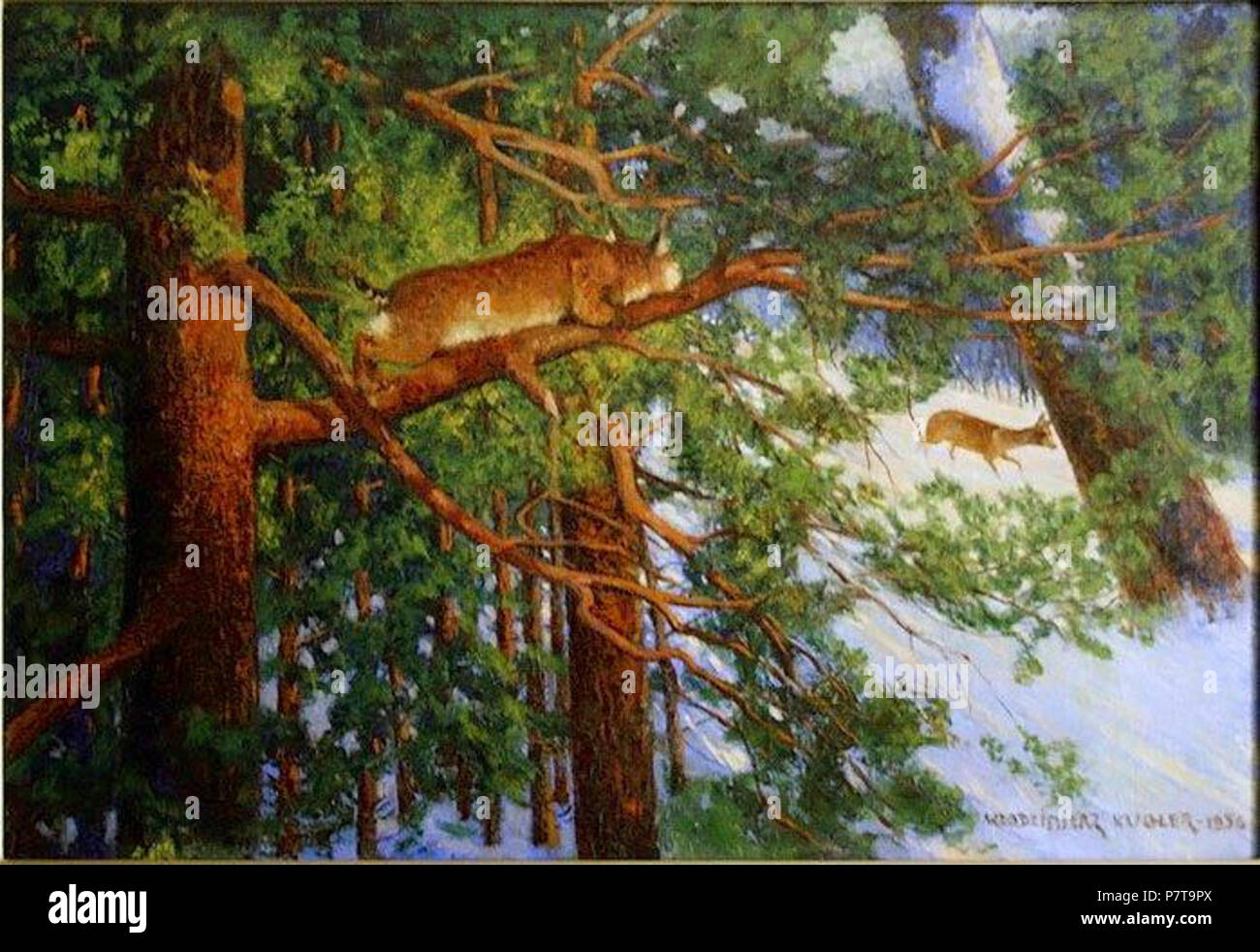 Sarna hi-res stock photography and images - Alamy