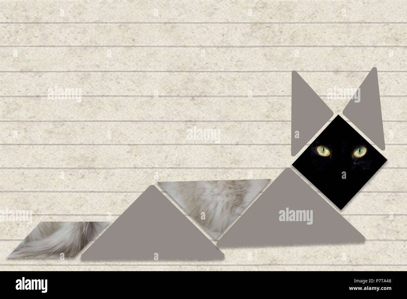Figure with cat shape created with the game pieces Tangram Stock Photo ...