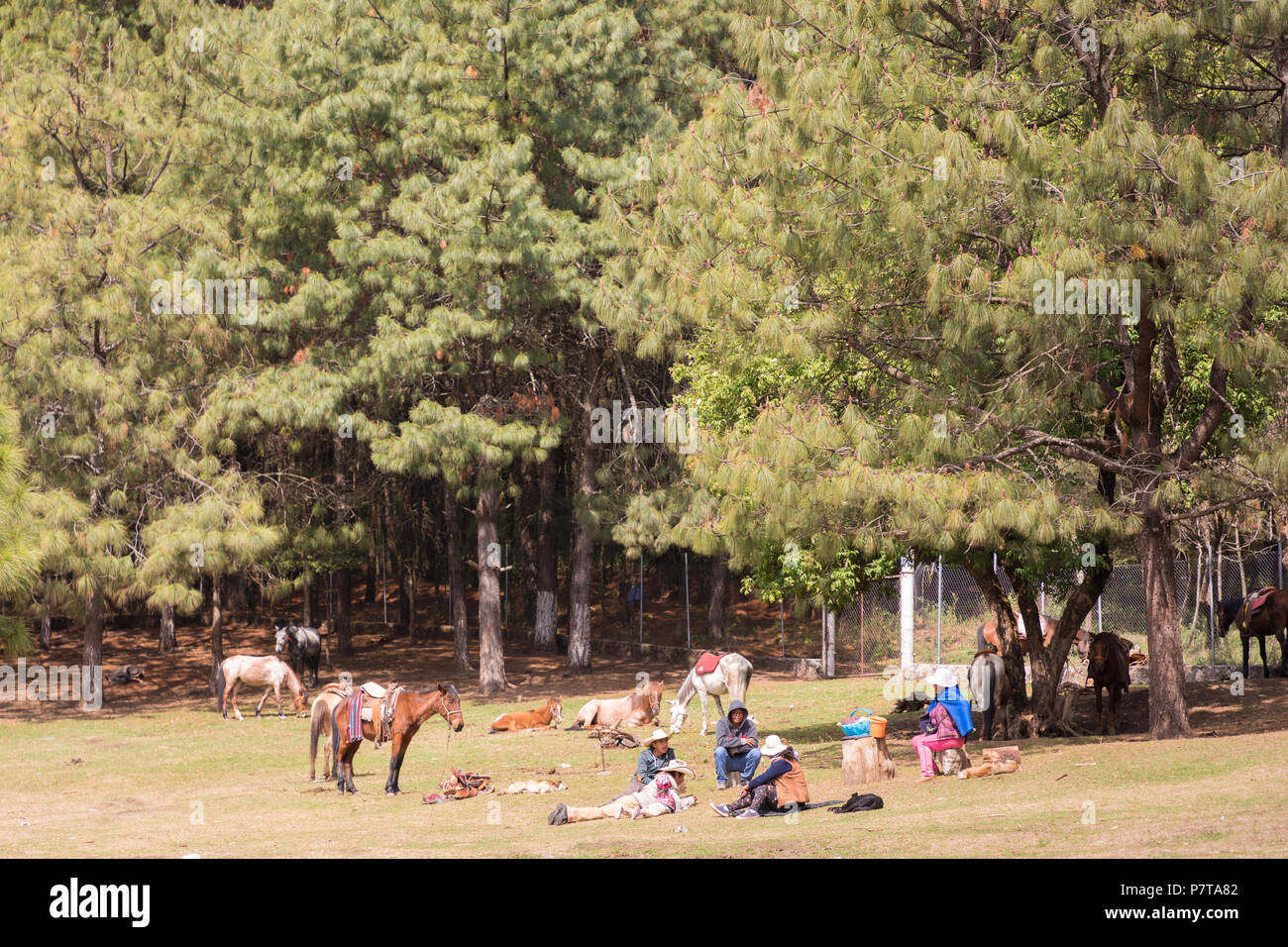 Piedra herrada sanctuary hi-res stock photography and images - Alamy
