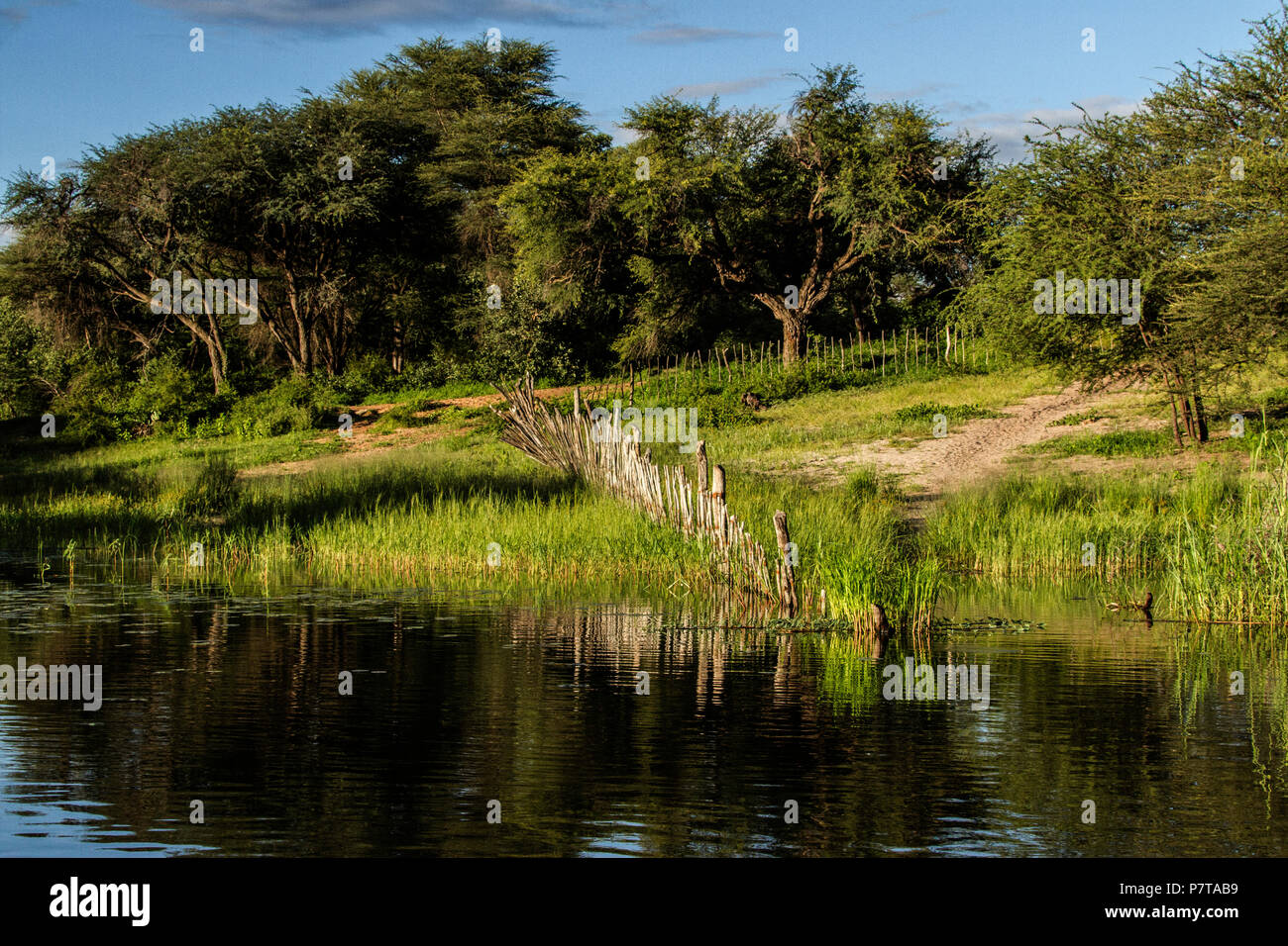 Kavango River High Resolution Stock Photography and Images - Alamy