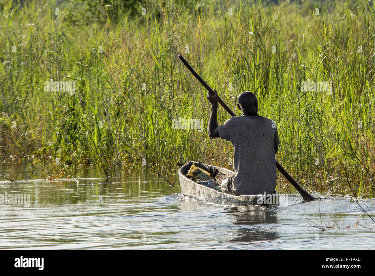 A traditional dugout canoe, or mokoro, still in everyday use on the ...